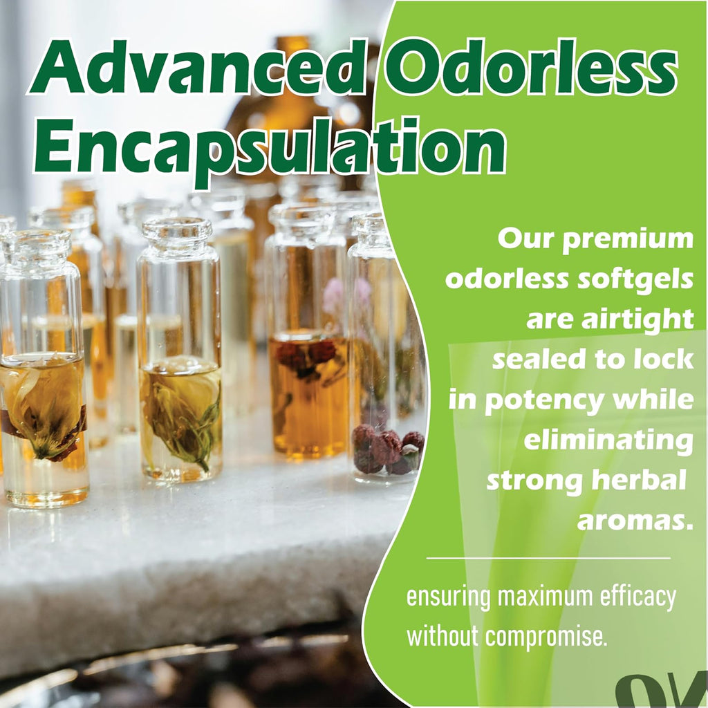Black Seed Oil antioxidant properties