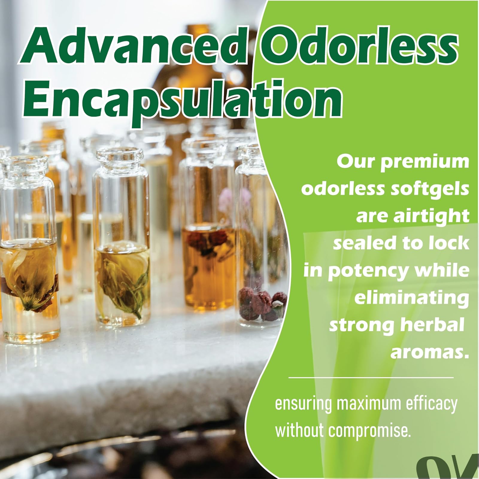 Black Seed Oil antioxidant properties