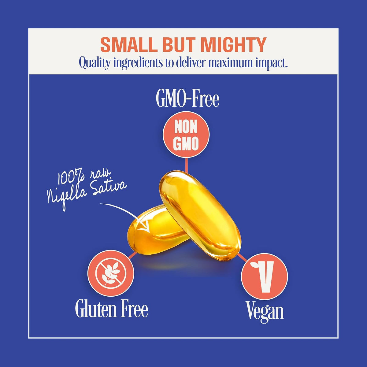 black seed oil antioxidant properties