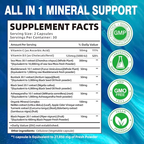 black seed oil benefits in capsules