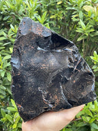 black seed oil benefits with obsidian