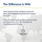 black seed oil for digestive health