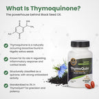 black seed oil for digestive wellness