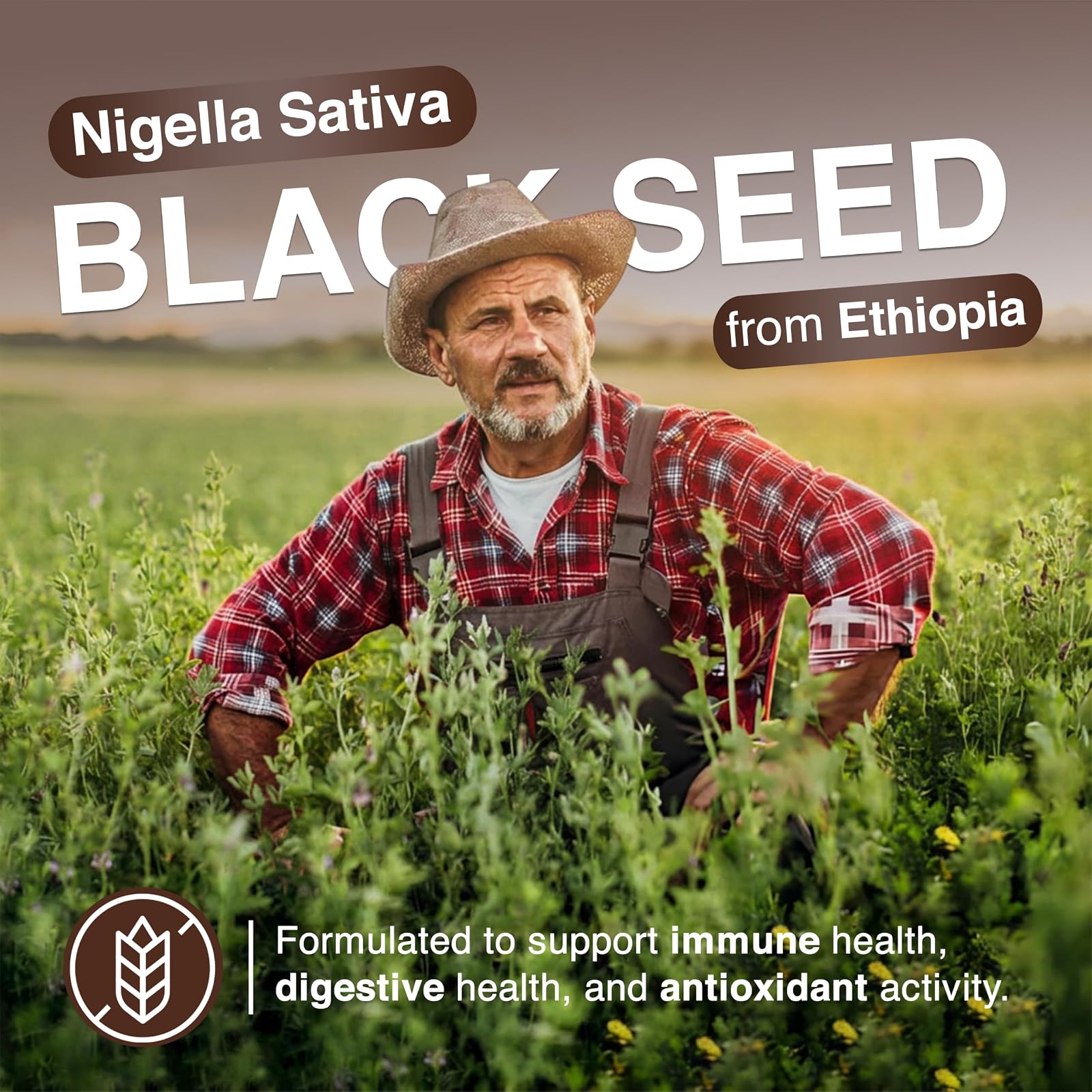 black seed oil for healthy skin