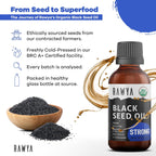 black seed oil for immune support