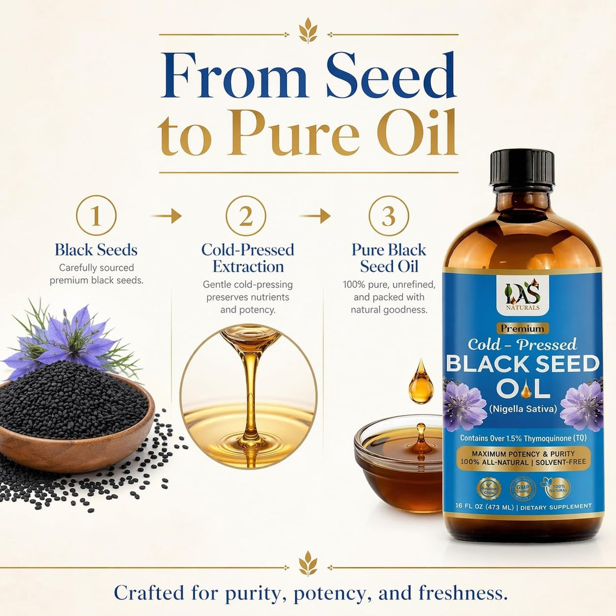 black seed oil for immune support