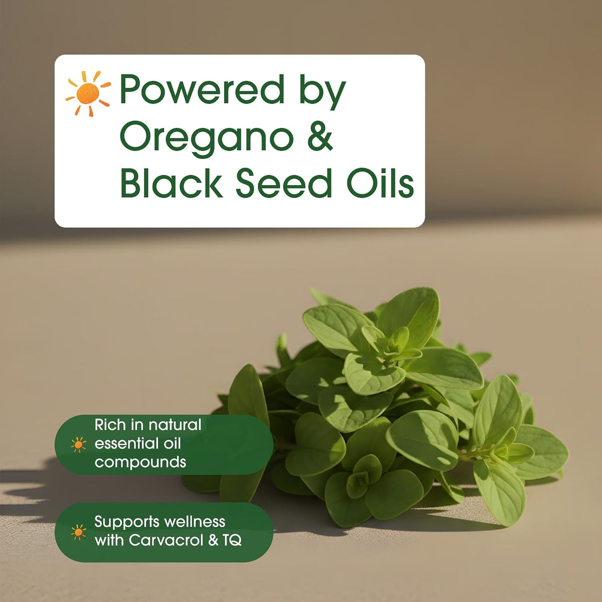 Black seed oil for wellness