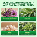 black seed oil for wellness