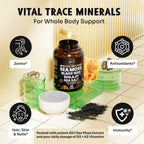 black seed oil health benefits