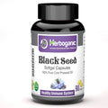 black seed oil health benefits