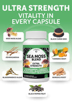 black seed oil health support capsules