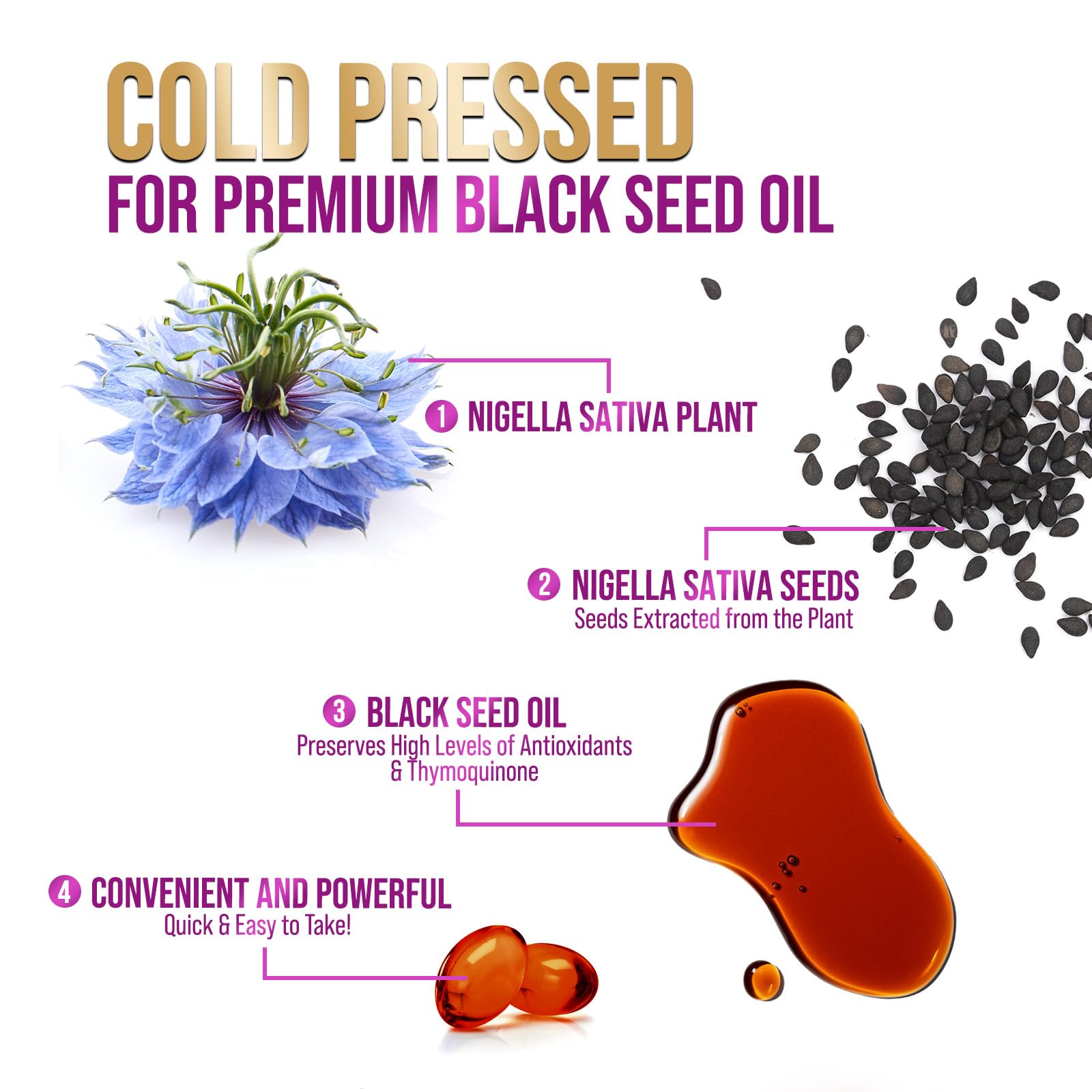 black seed oil supports digestive wellness