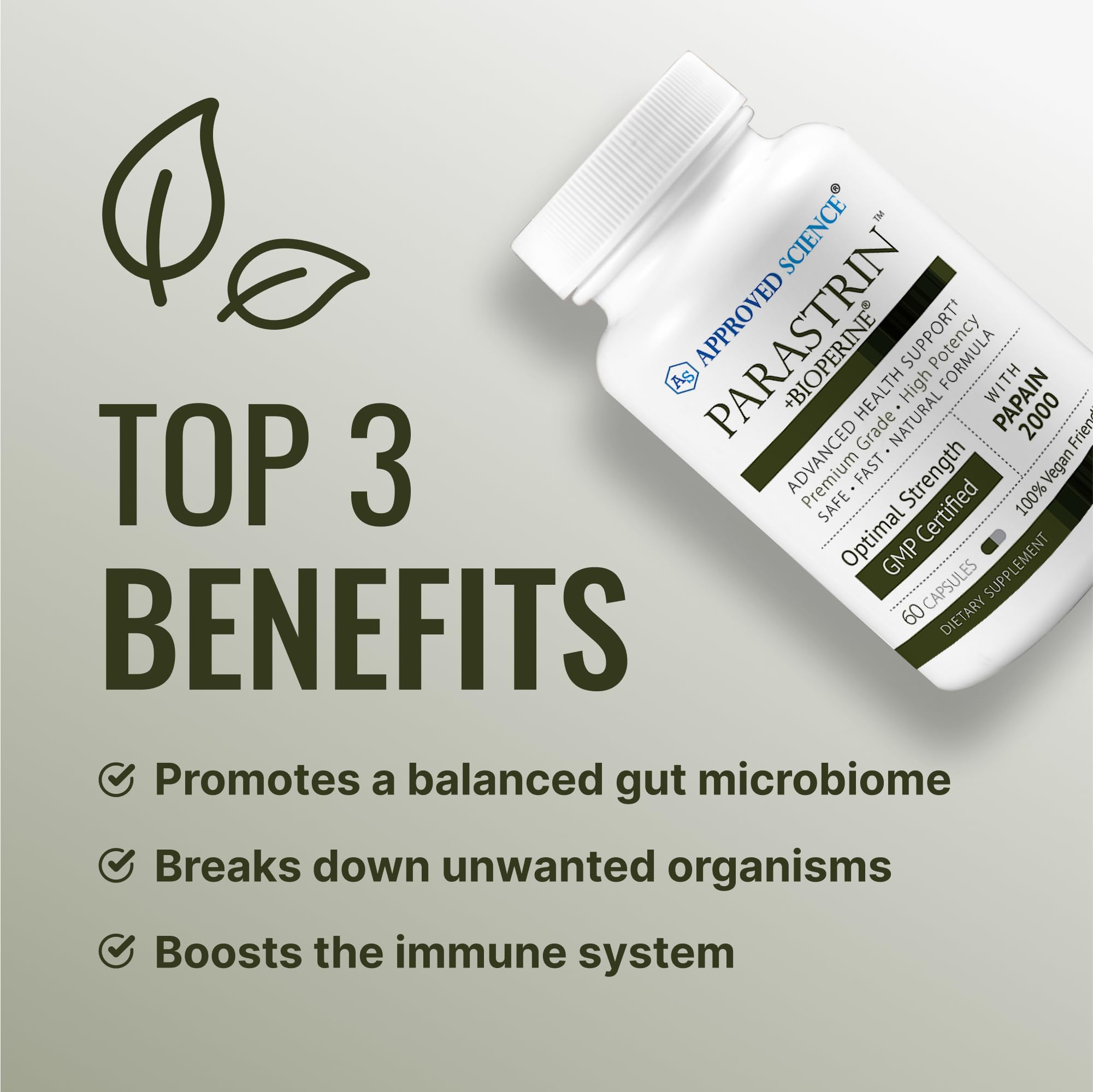black walnut intestinal support