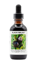black walnut tincture for wellness