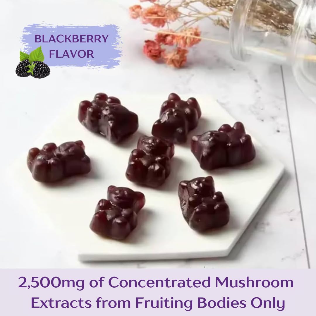 blackberry flavor mushroom gummies