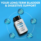 bladder support for active lifestyles