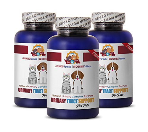 bladder support for cats and dogs