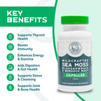 Bladderwrack and burdock benefits