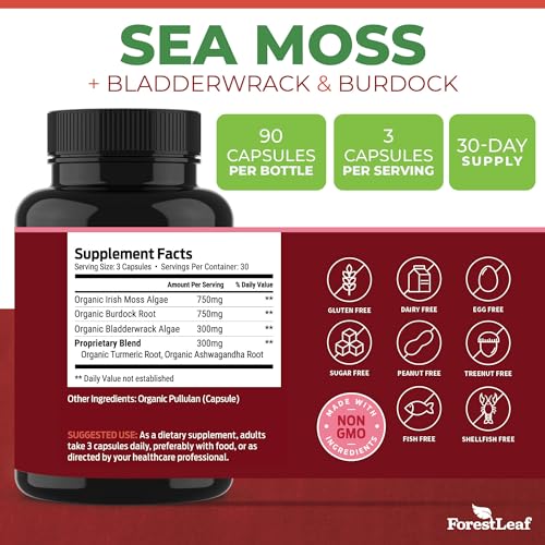 bladderwrack and burdock benefits