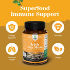 bladderwrack and burdock health support