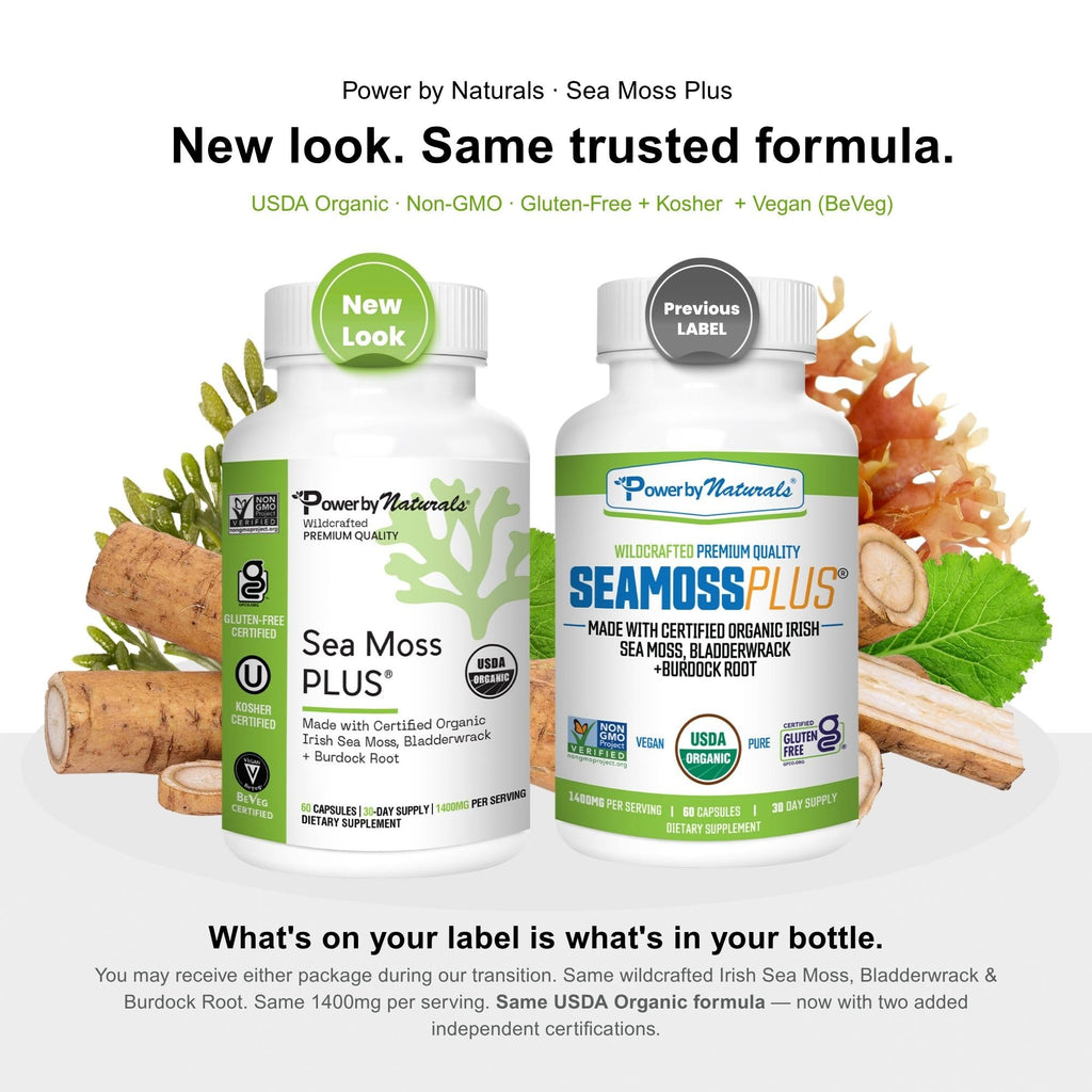 bladderwrack and burdock root benefits