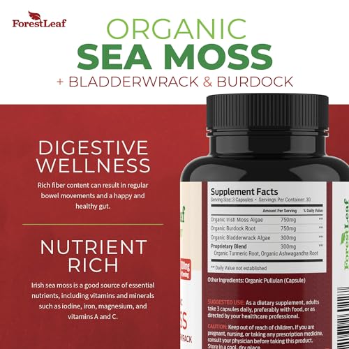 Bladderwrack and burdock root benefits
