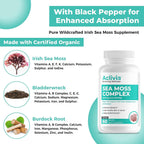 bladderwrack and burdock root benefits