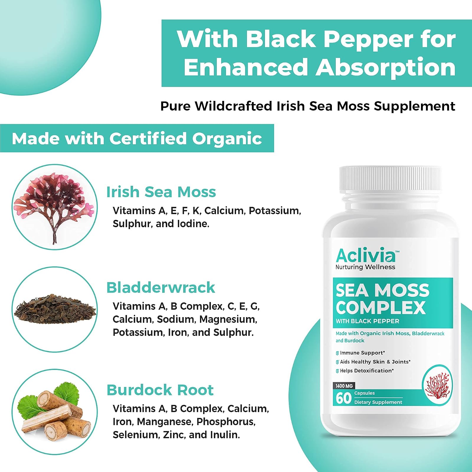 bladderwrack and burdock root benefits
