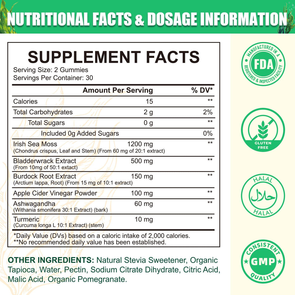 Bladderwrack and Burdock Root benefits