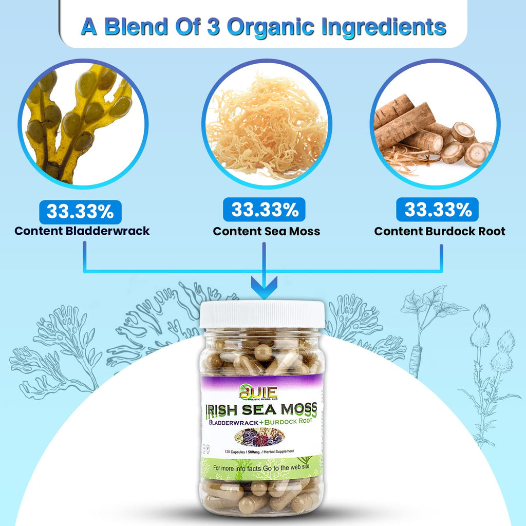 bladderwrack and burdock root benefits