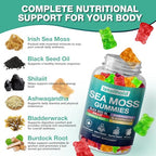 Bladderwrack and burdock root benefits