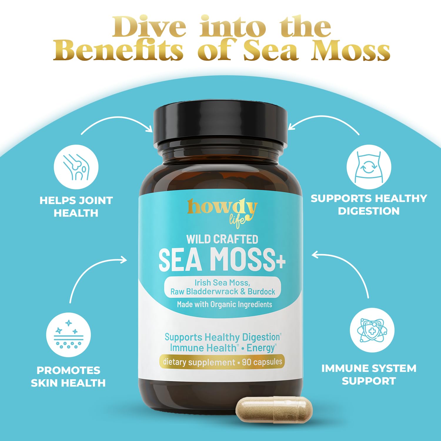 bladderwrack and burdock root benefits