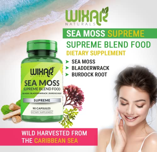 bladderwrack and burdock root capsules