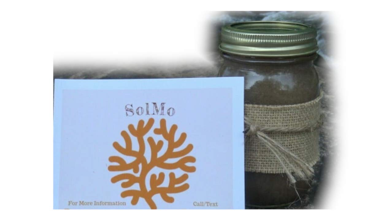 bladderwrack and cinnamon seamoss gel