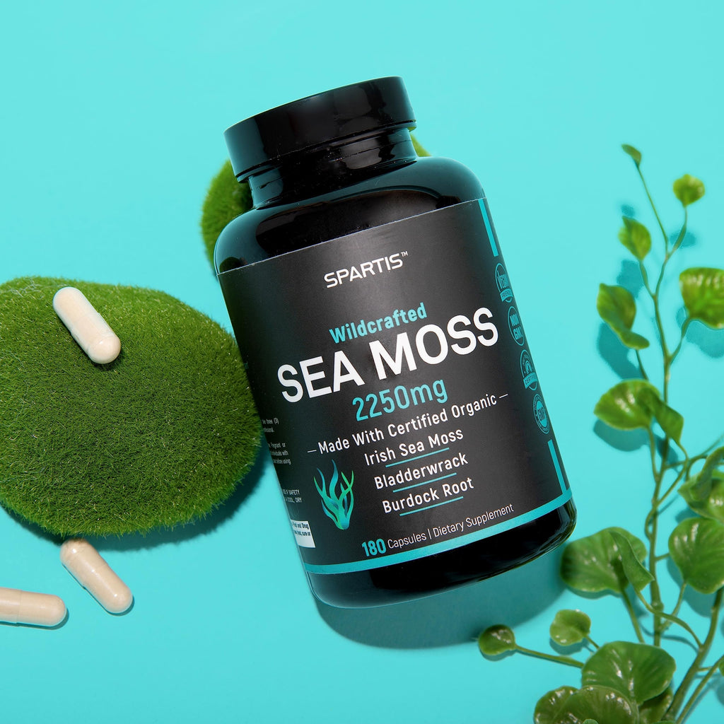 bladderwrack and sea moss blend