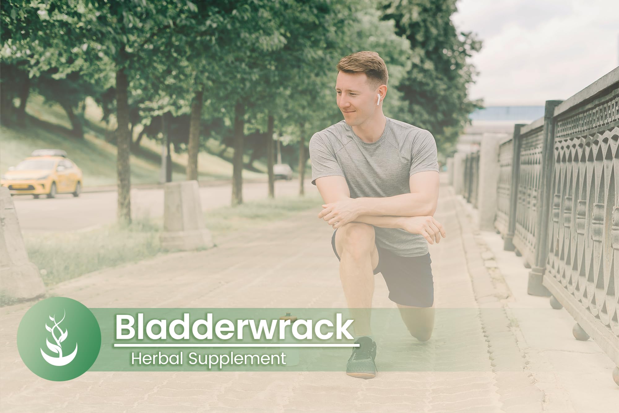 bladderwrack capsules for digestive health