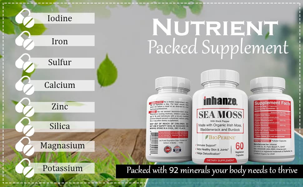 bladderwrack for digestive health