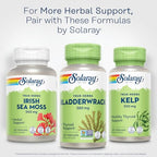 Bladderwrack for healthy metabolism