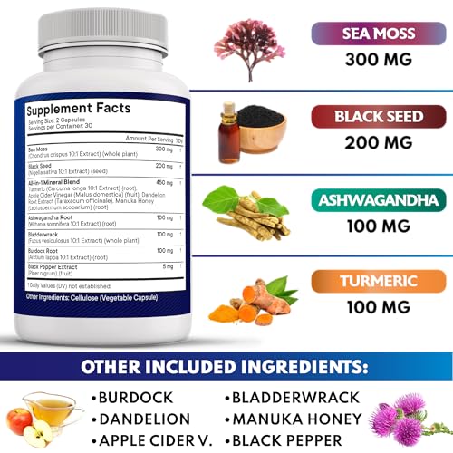 bladderwrack for thyroid health support