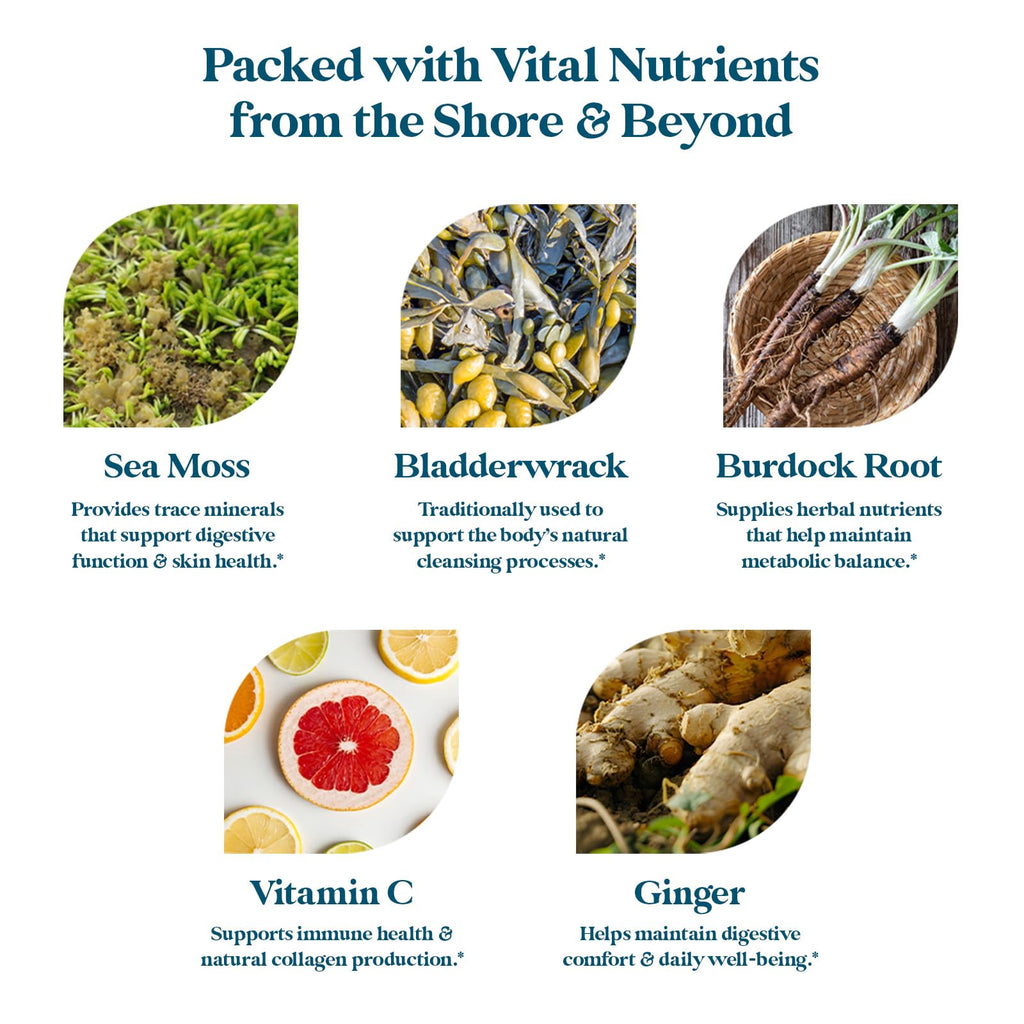 bladderwrack for thyroid support