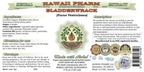Bladderwrack glycerite for immune support