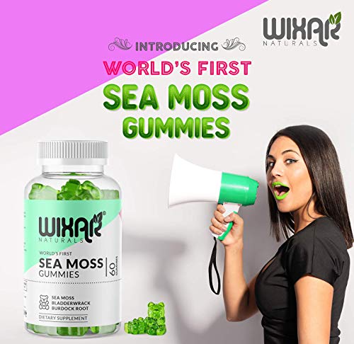 bladderwrack gummies with burdock benefits