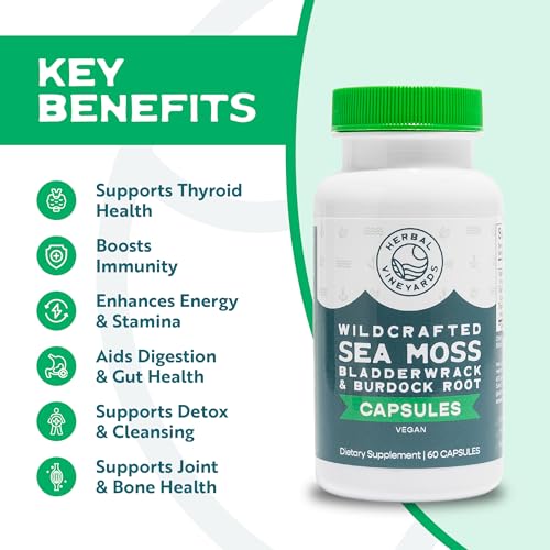 bladderwrack health benefits