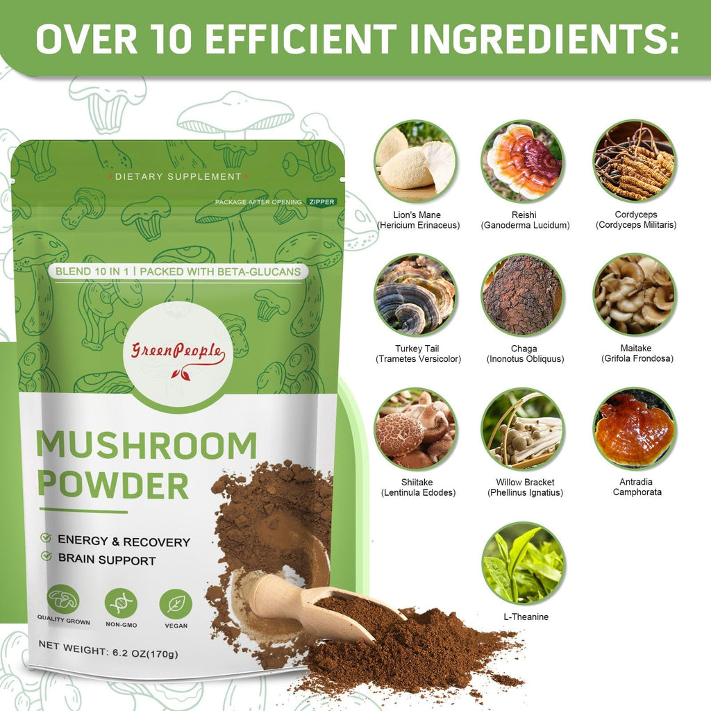 blend of medicinal mushrooms benefits