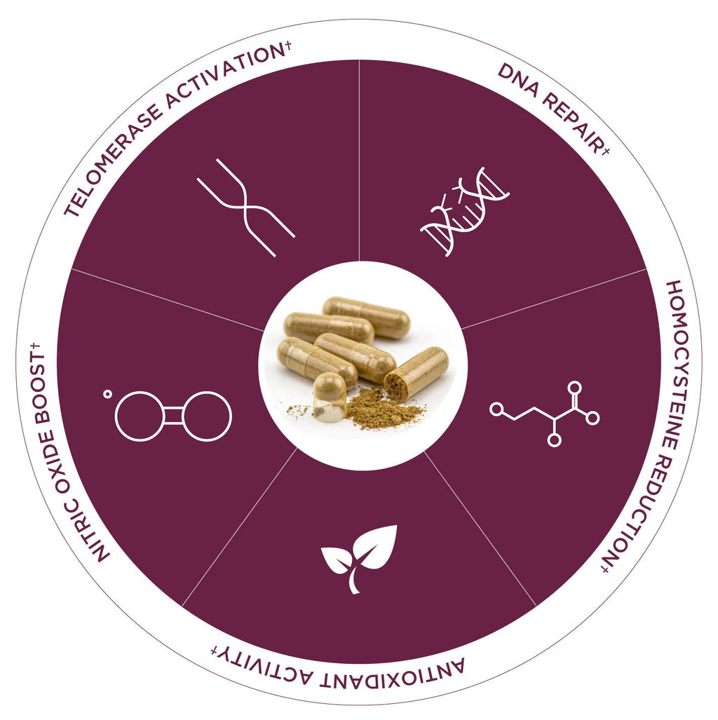 blended mineral supplements for vitality
