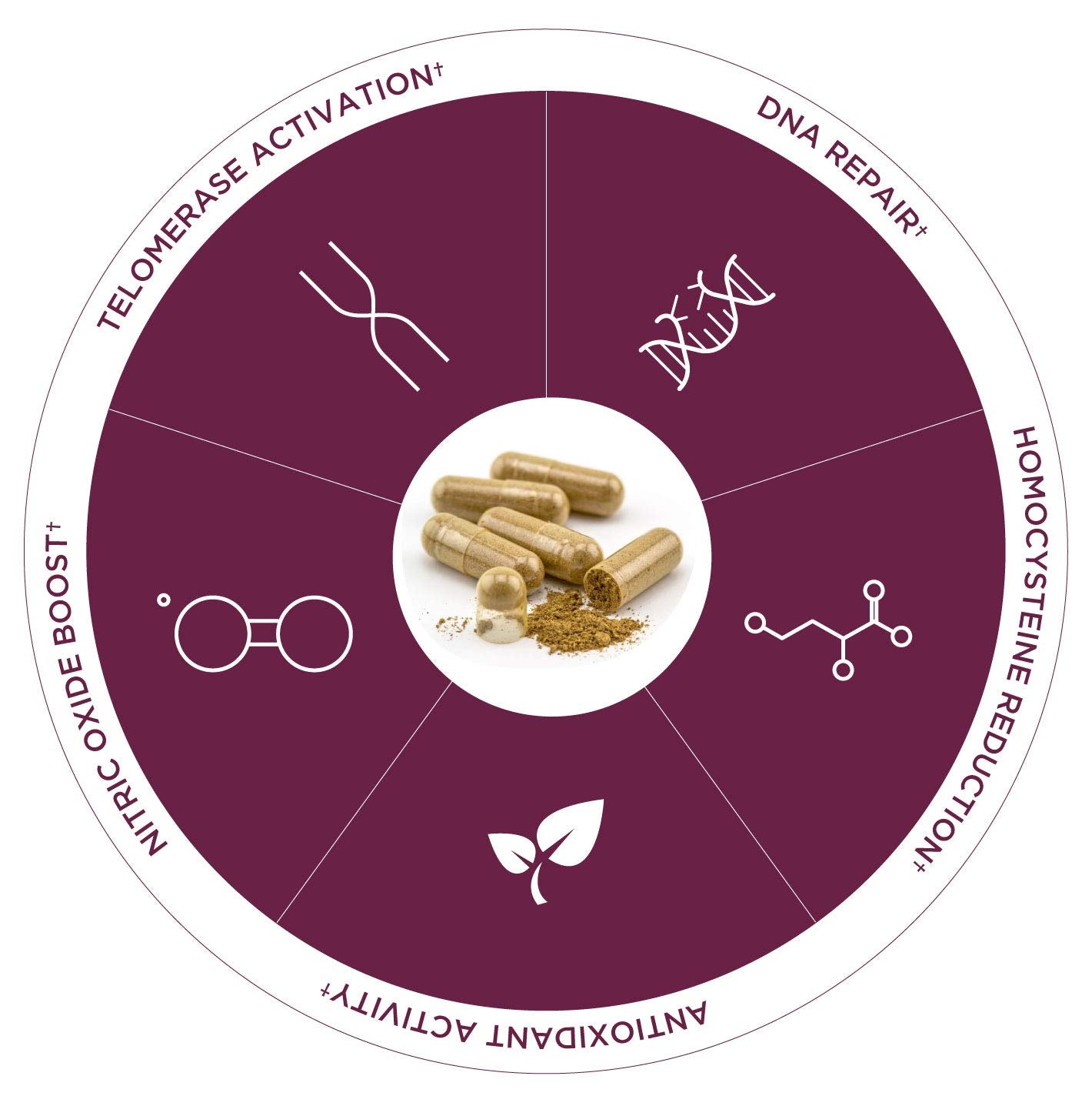 blended mineral supplements for vitality