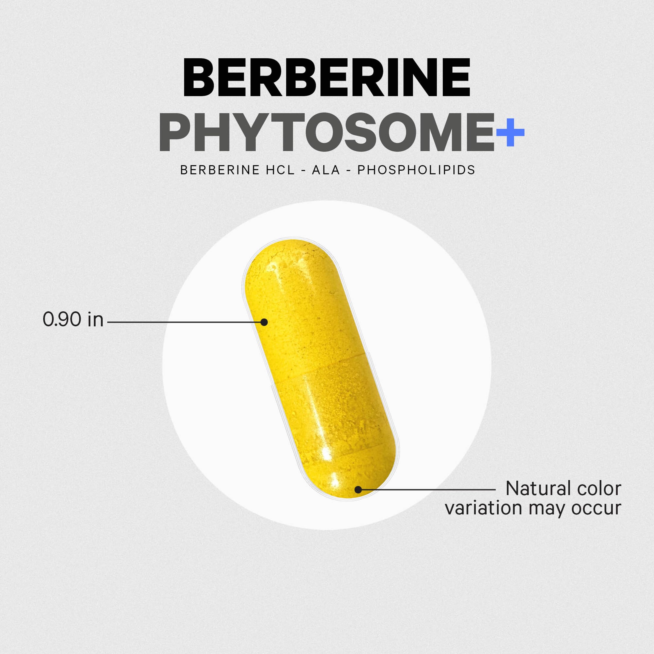 Blended supplements for active lifestyle