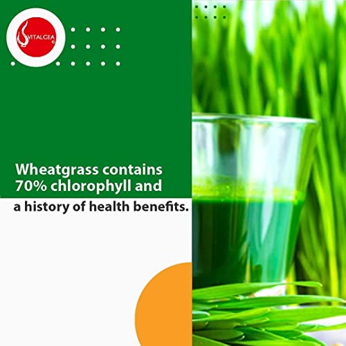 blended supplements for active lifestyles