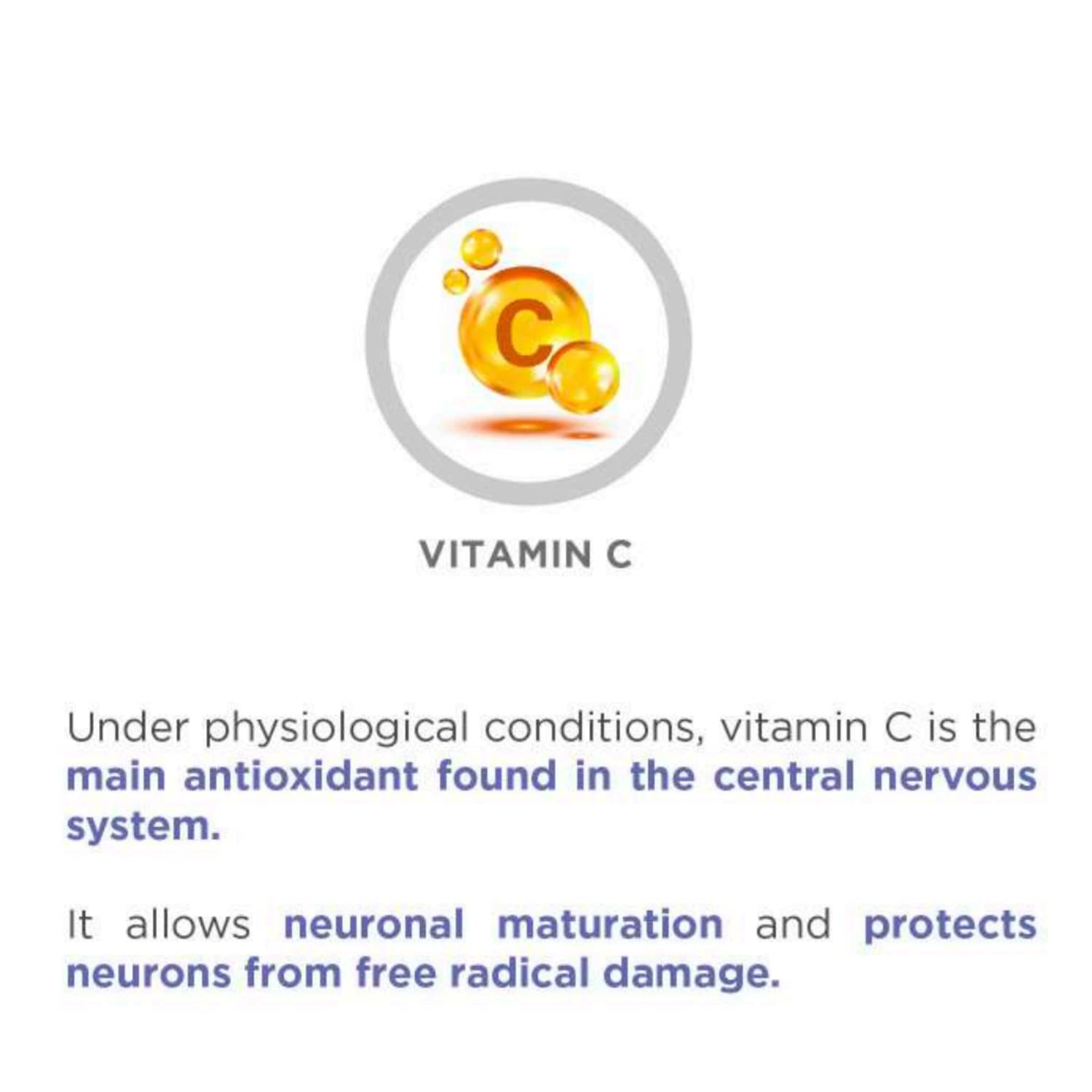blended supplements for brain function