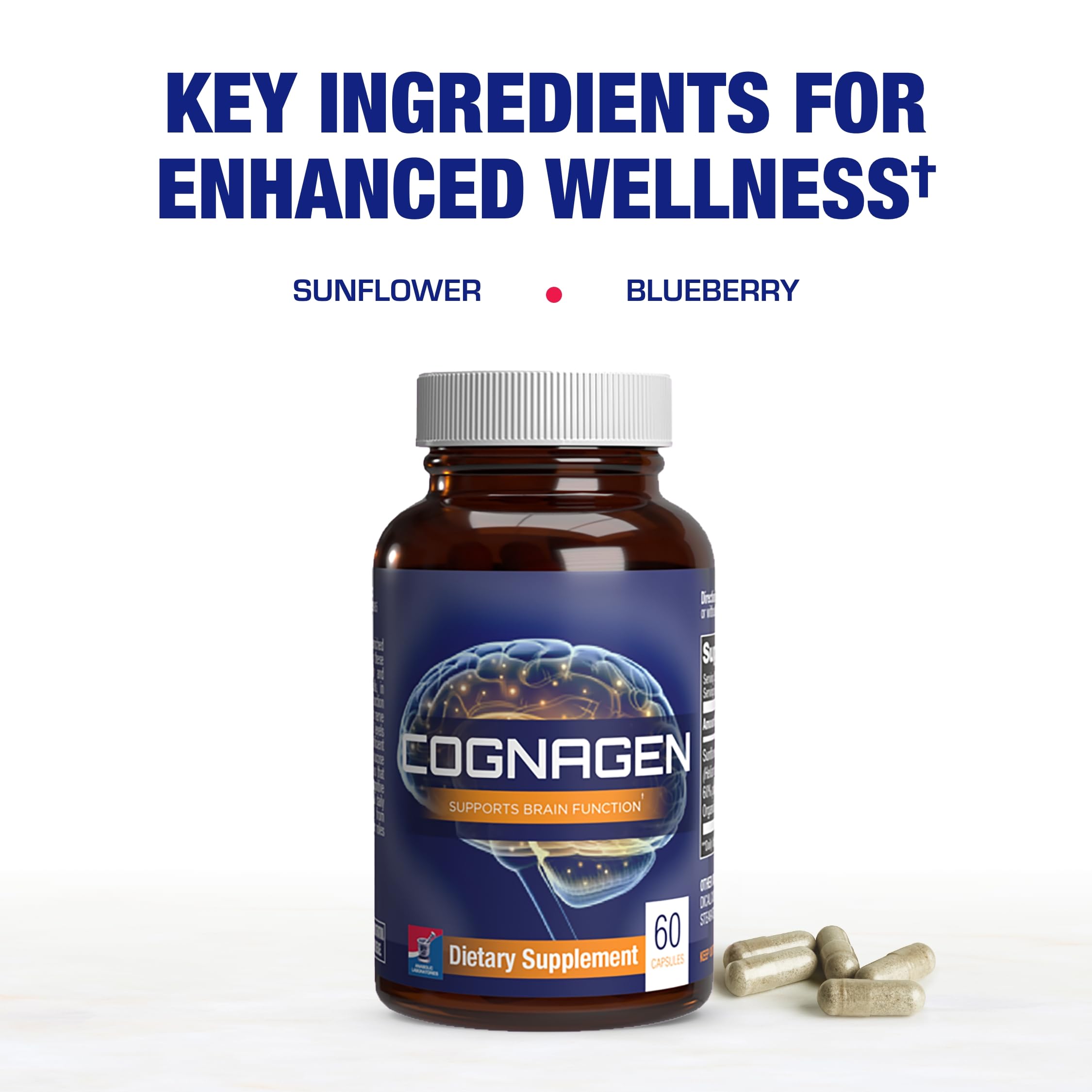 Blended supplements for brain function